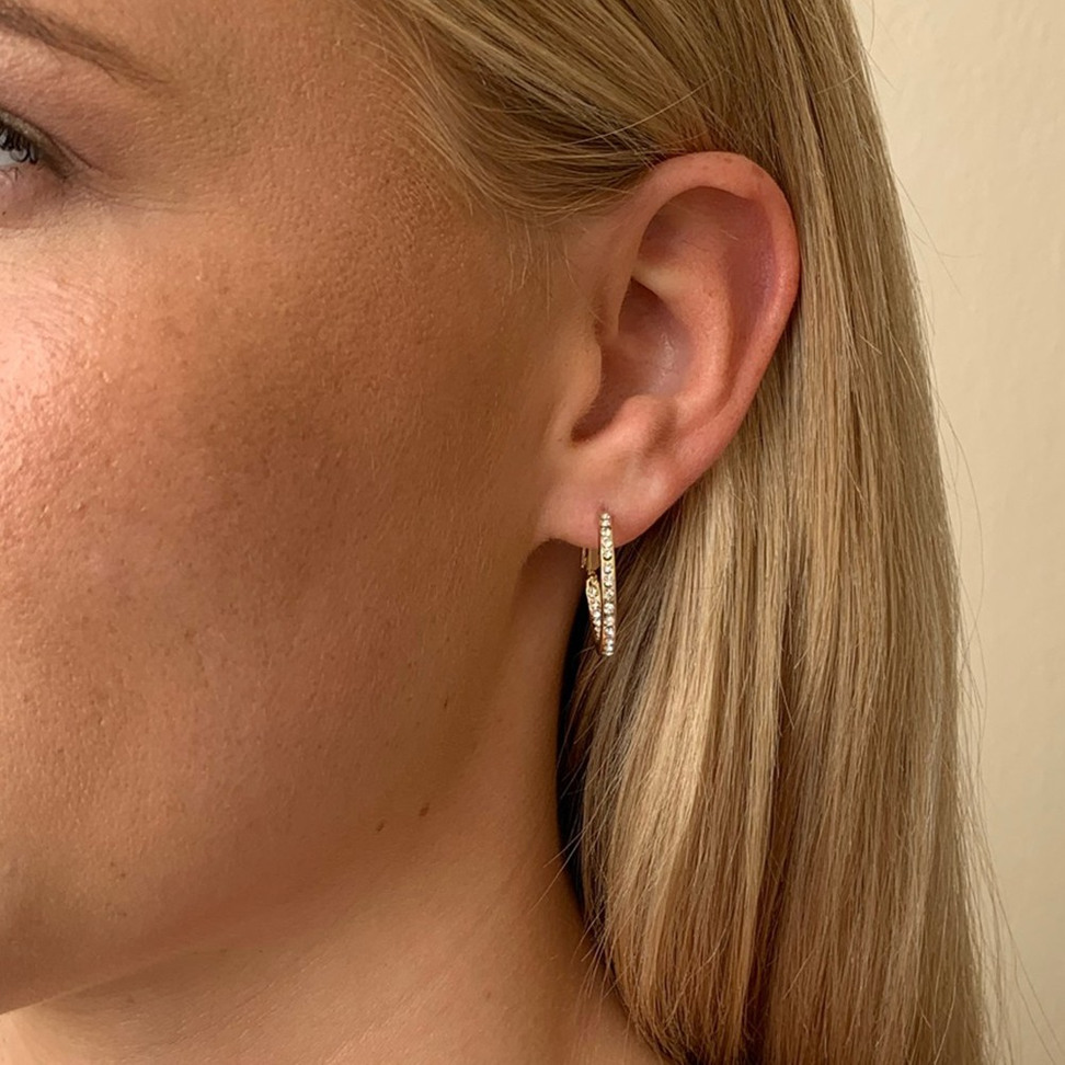 Story Small Ring Earring - g/clear